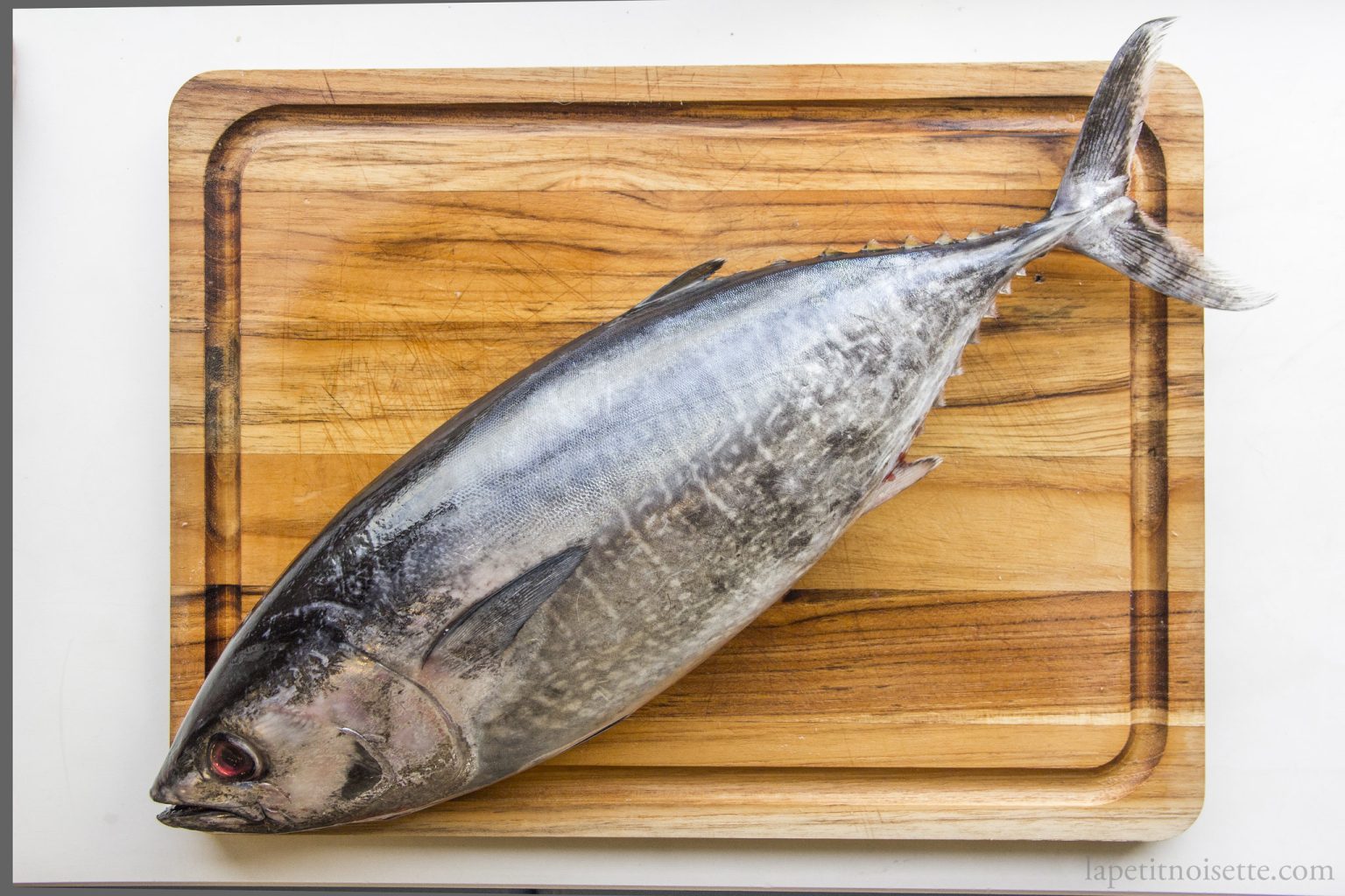 How to age tuna (鮪) like a michelin starred sushi restaurant. – The ...