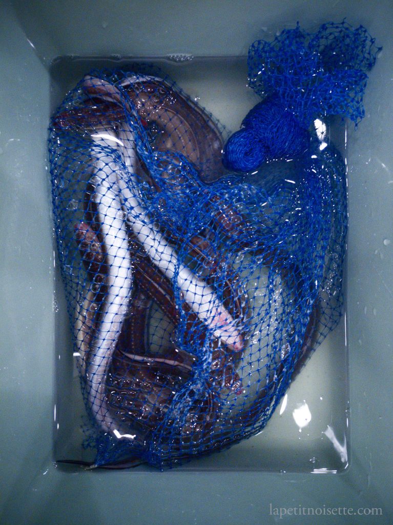 Simmered Japanese Sea Eel Recipe (Anago/穴子/アナゴ) – The Japanese Food Lab