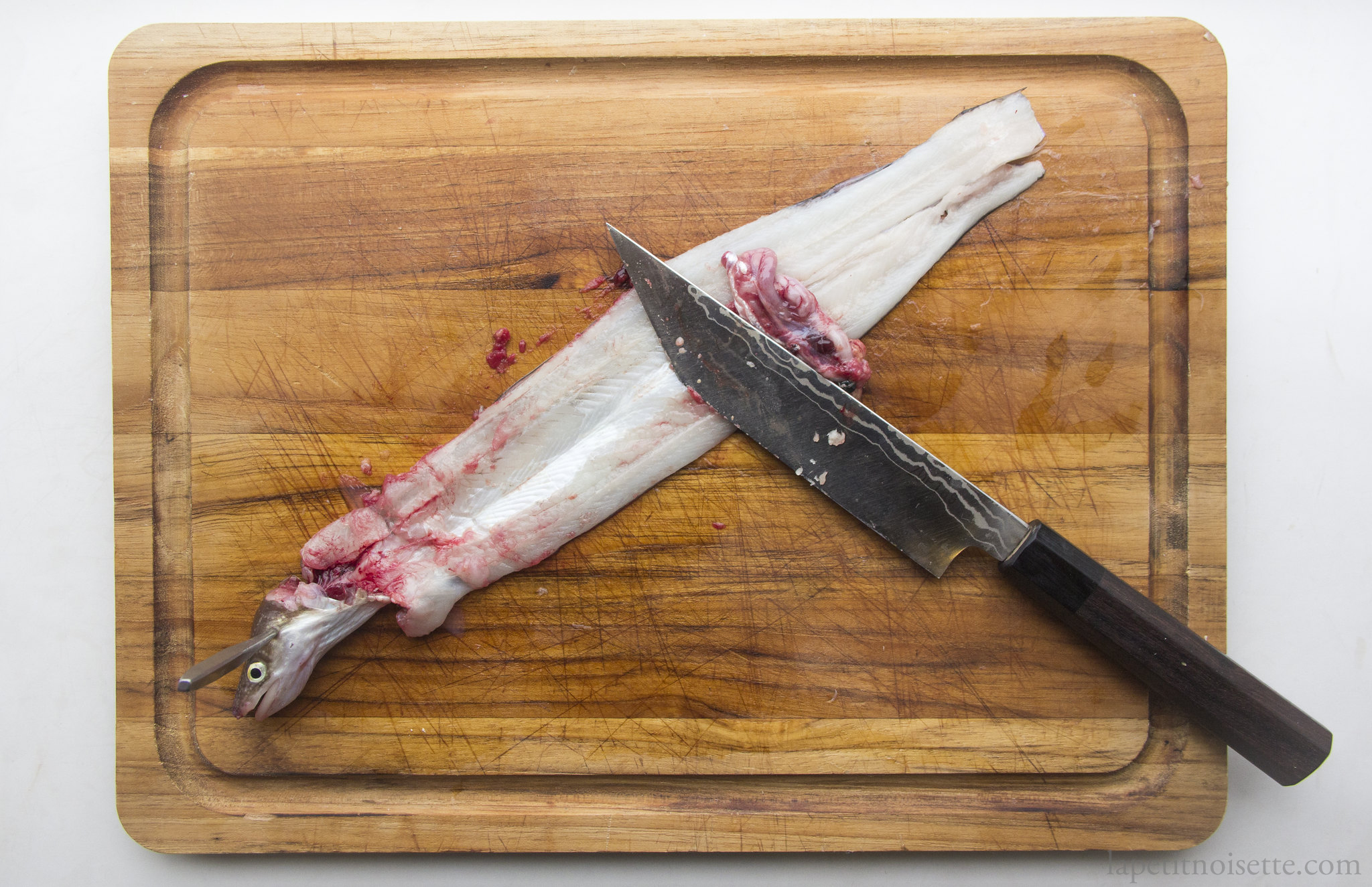 Simmered Japanese Sea Eel Recipe (Anago/穴子/アナゴ) – The Japanese Food Lab