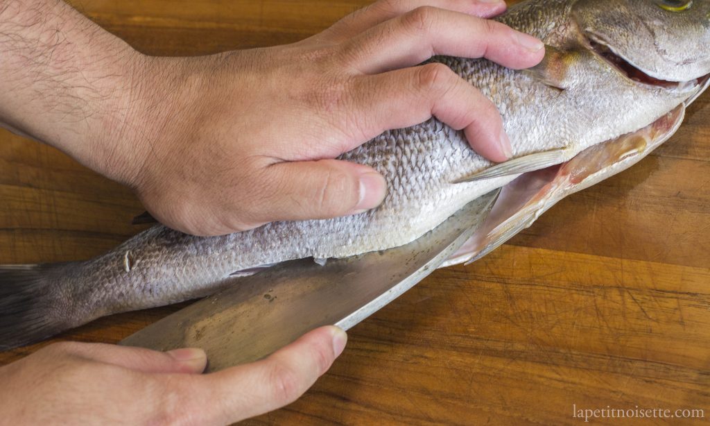 Chicken Grunt (Isaki/伊佐木/いさき) Edomae Sushi Recipe – The Japanese Food Lab