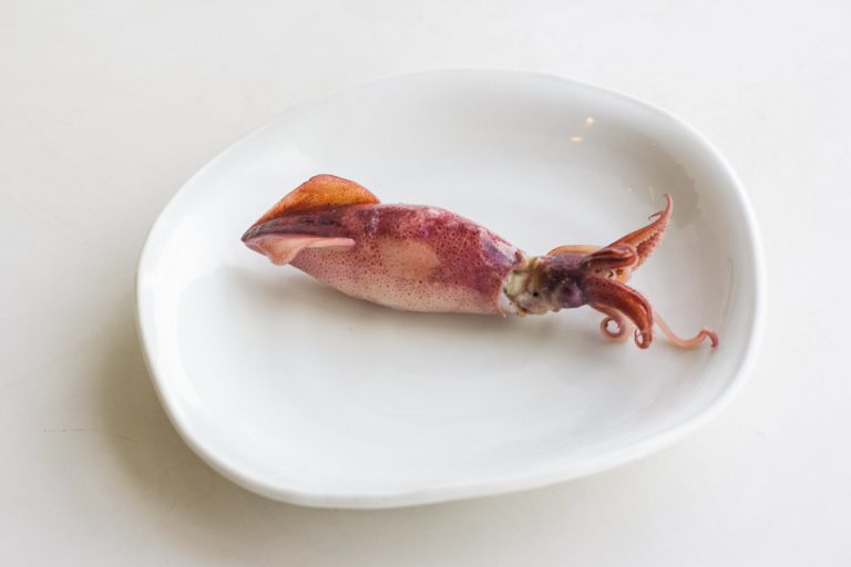 Firefly squid (Hotaru Ika/ホタルイカ) Edomae Sushi Recipe – The Japanese ...