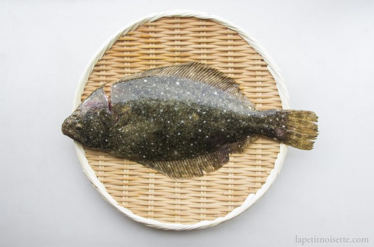 Olive Flounder (Hirame/平目/ヒラメ) Edomae Sushi Recipe – The Japanese Food Lab