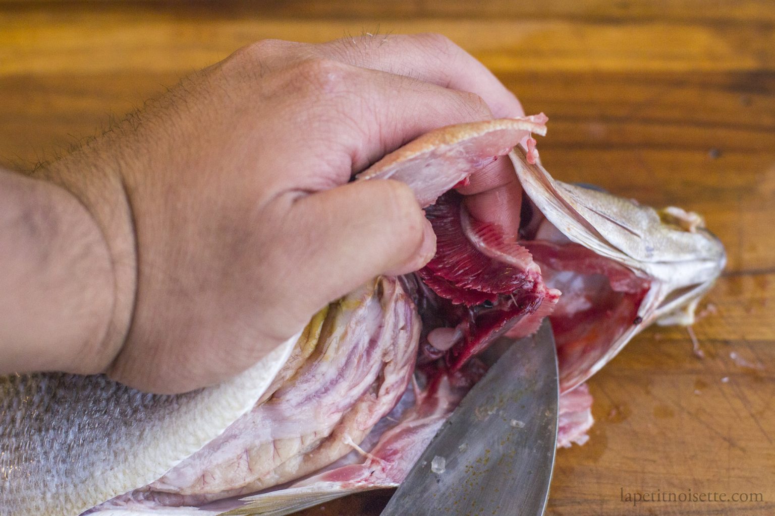 Chicken Grunt (Isaki/伊佐木/いさき) Edomae Sushi Recipe – The Japanese Food Lab