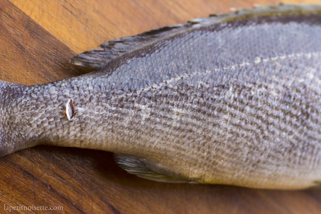 Chicken Grunt (Isaki/伊佐木/いさき) Edomae Sushi Recipe – The Japanese Food Lab