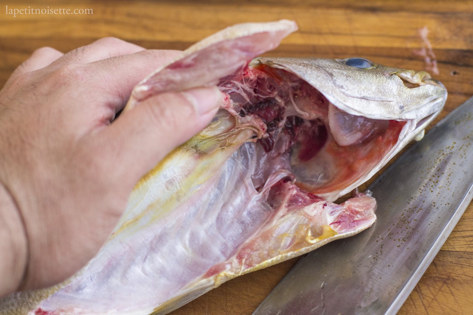 Chicken Grunt (Isaki/伊佐木/いさき) Edomae Sushi Recipe – The Japanese Food Lab