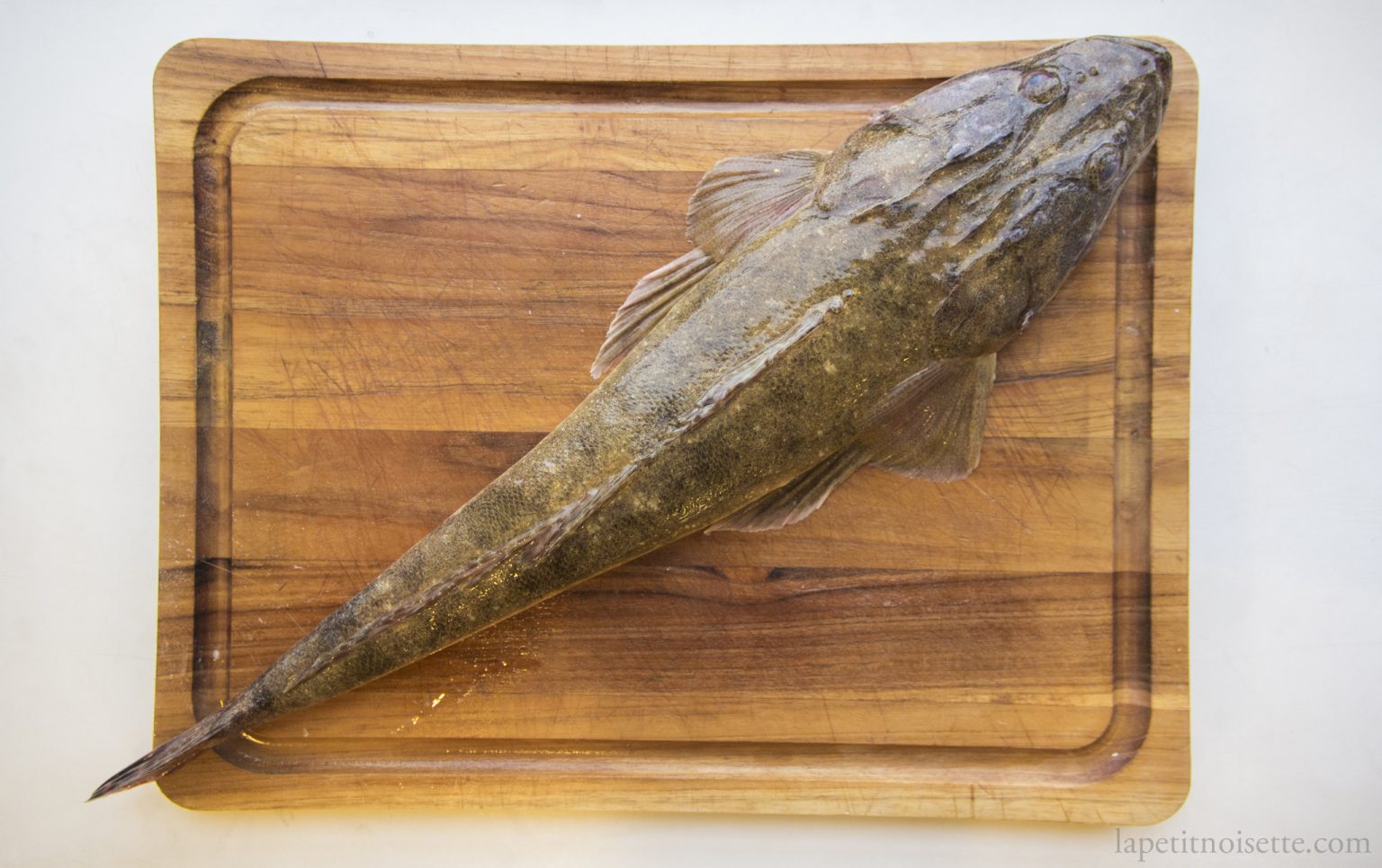 Bartail Flathead (Gochi/マゴチ/コチ/ 鯒) Edomae Sushi Recipe – The Japanese ...