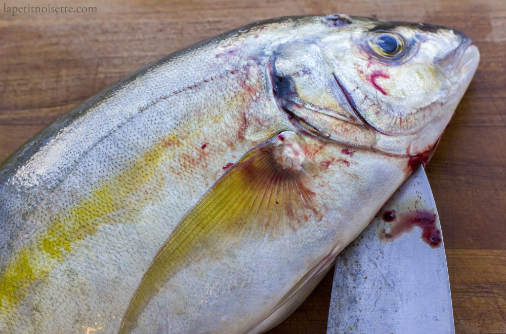 Shima Aji (縞鯵) Edomae Sushi Recipe – The Japanese Food Lab