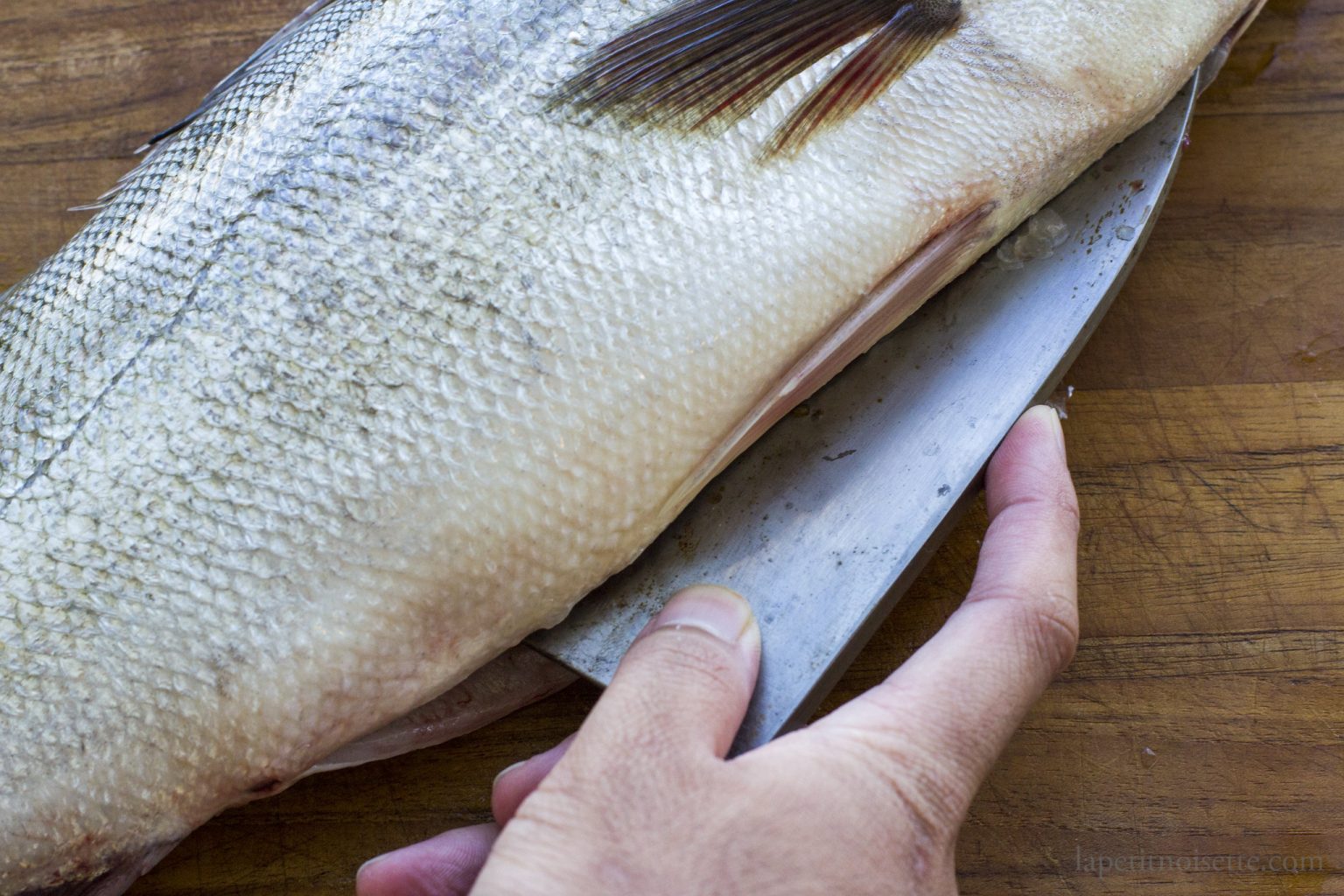 Japanese Sea Bass (Suzuki／鱸／すずき) Edomae Sushi Recipe – The Japanese ...