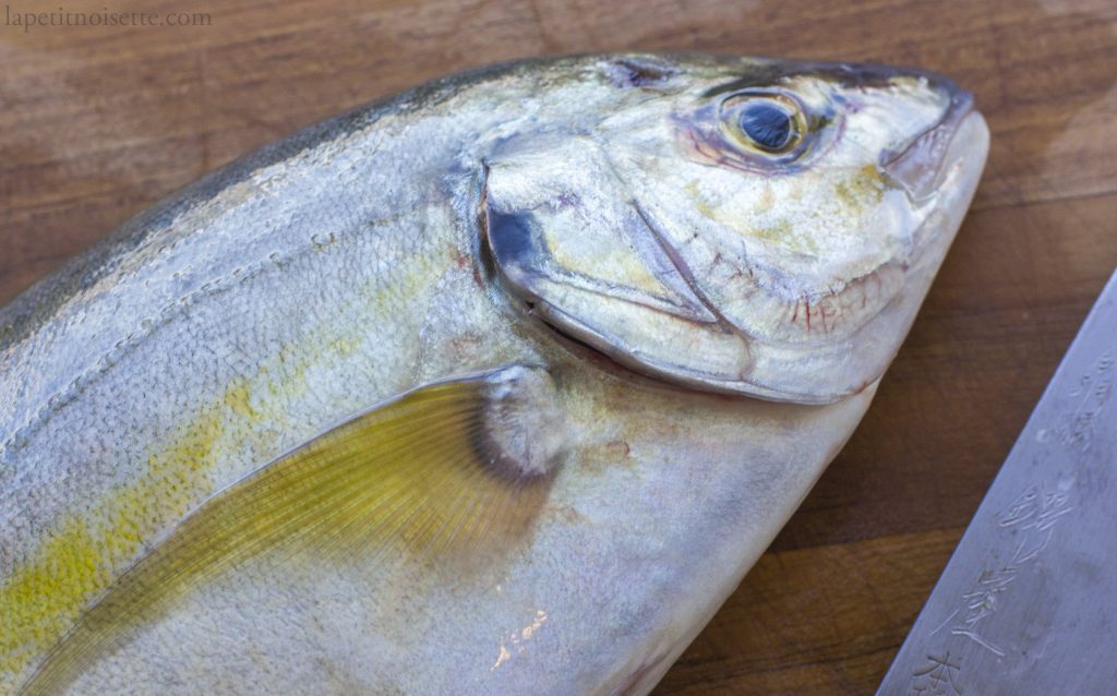 Shima Aji (縞鯵) Edomae Sushi Recipe – The Japanese Food Lab