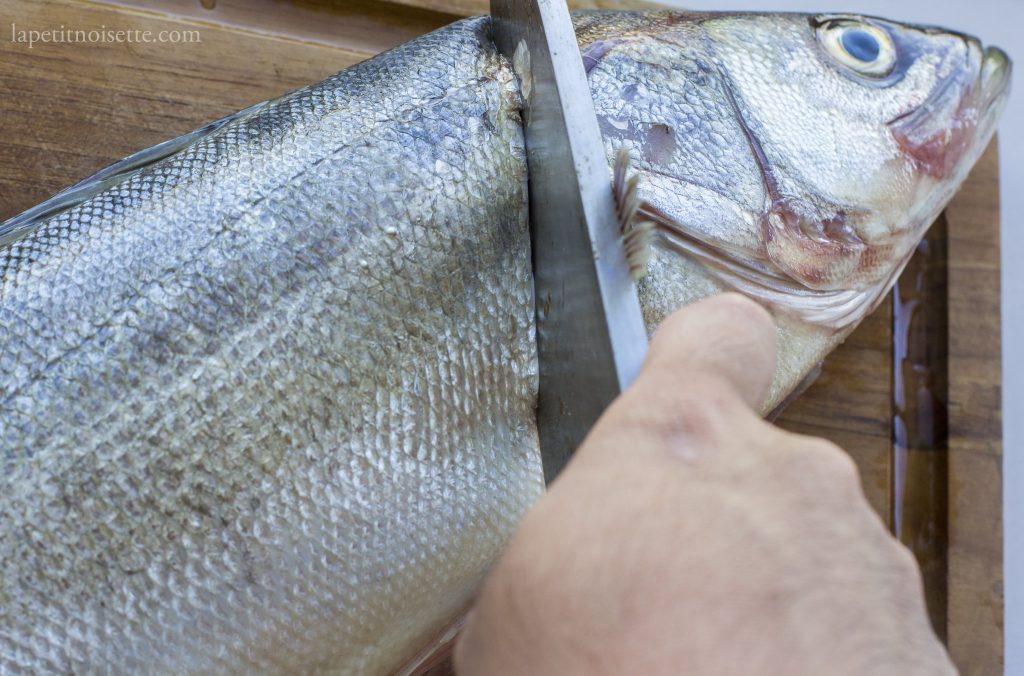 Japanese Sea Bass (Suzuki／鱸／すずき) Edomae Sushi Recipe – The Japanese ...