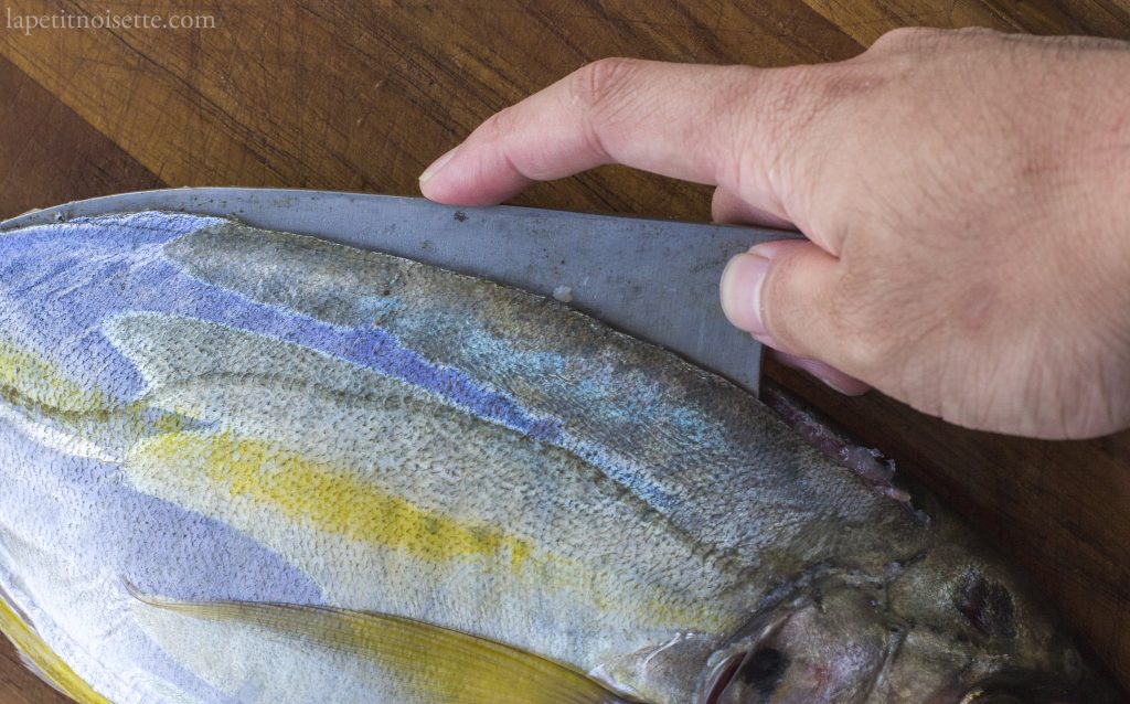 Shima Aji (縞鯵) Edomae Sushi Recipe – The Japanese Food Lab