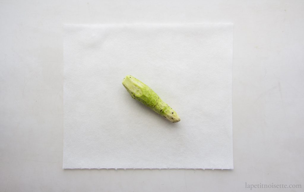 How to grate wasabi (わさび) – The Japanese Food Lab