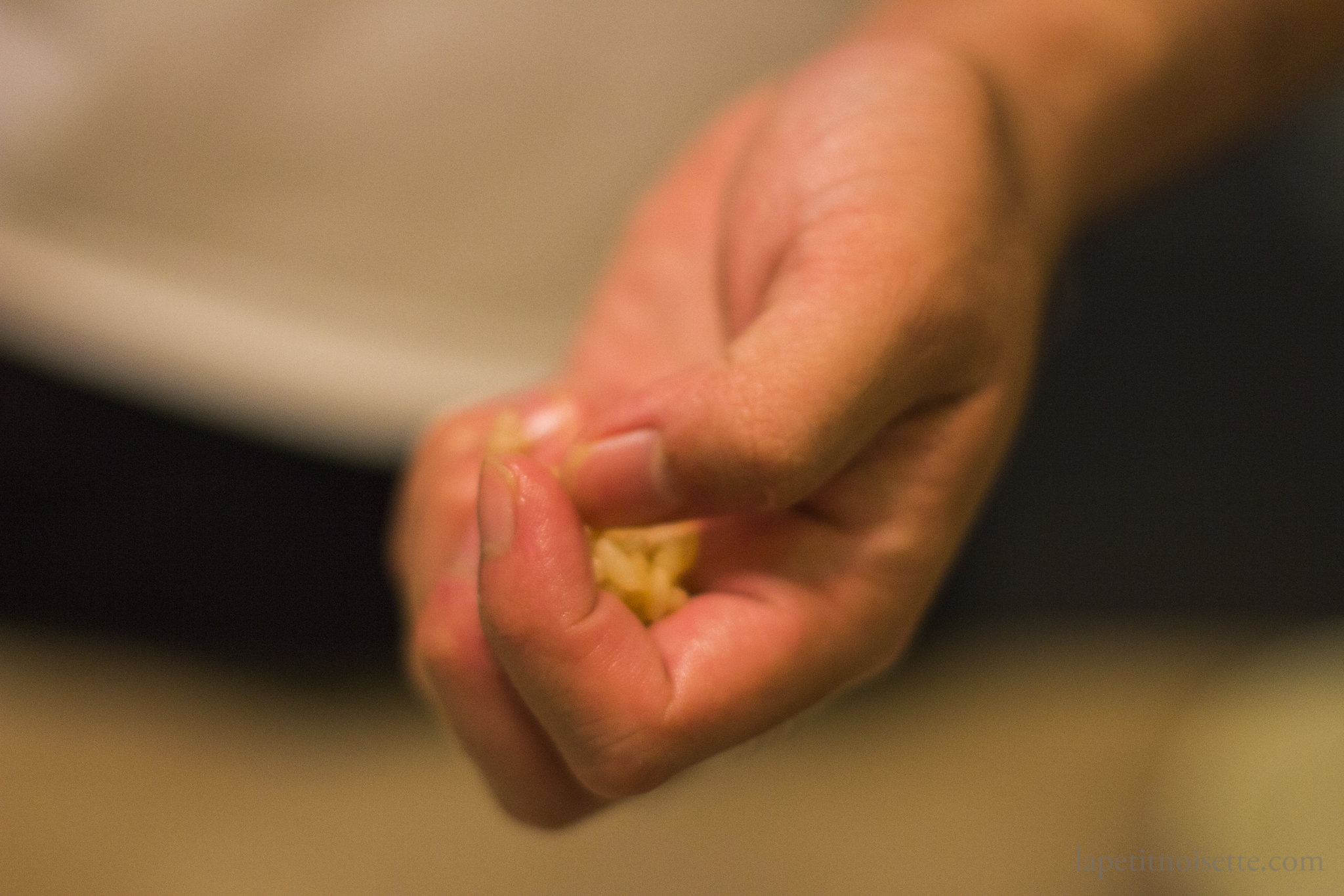 How to make Edomae Nigiri Sushi – The Japanese Food Lab