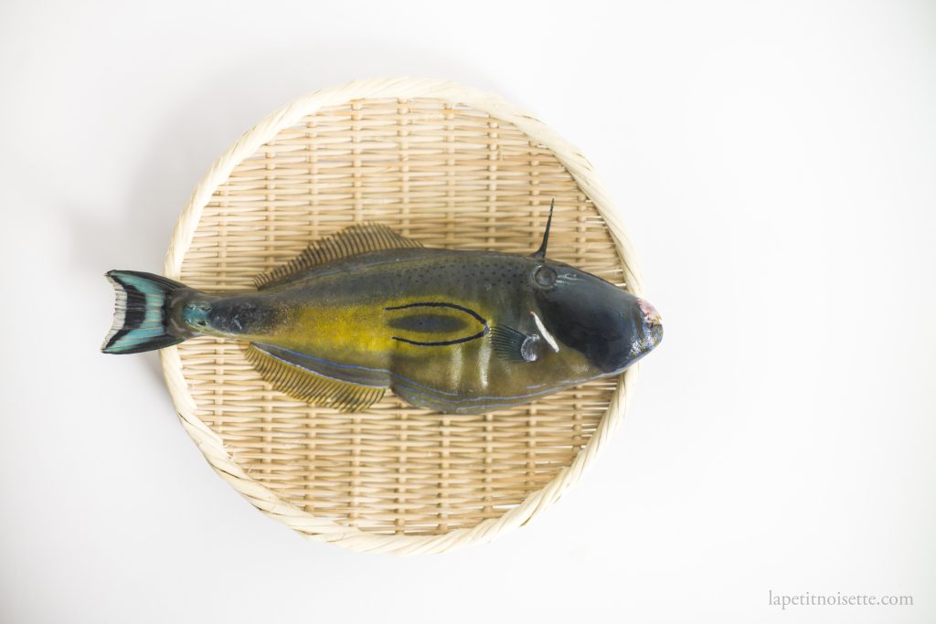 How To Prepare and Fillet Kawahagi